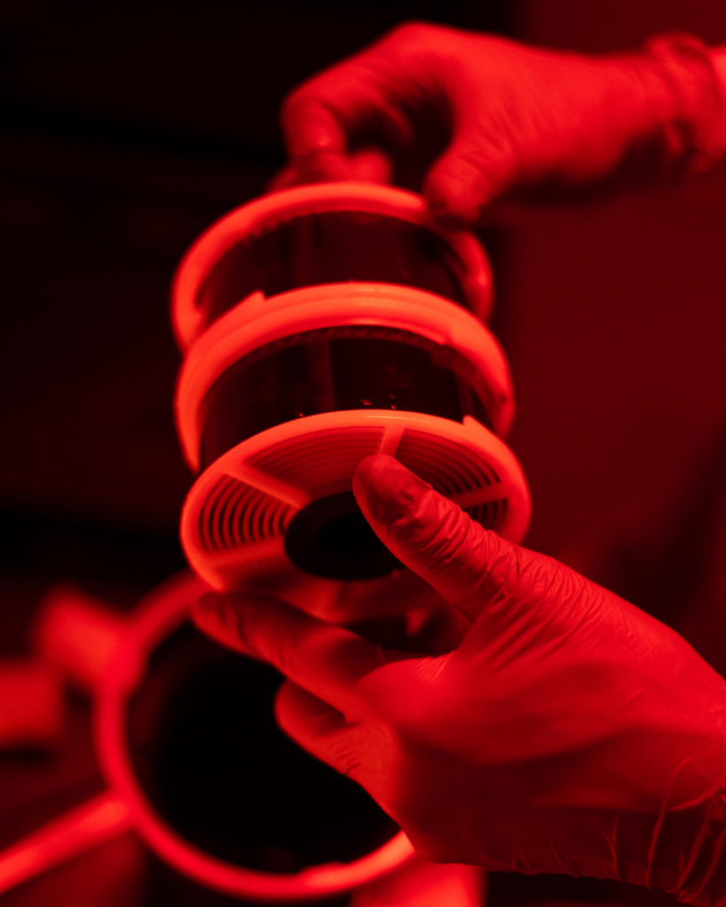 BRONX DOCUMENTARY CENTER – The Bronx Documentary Center (BDC) uses ...